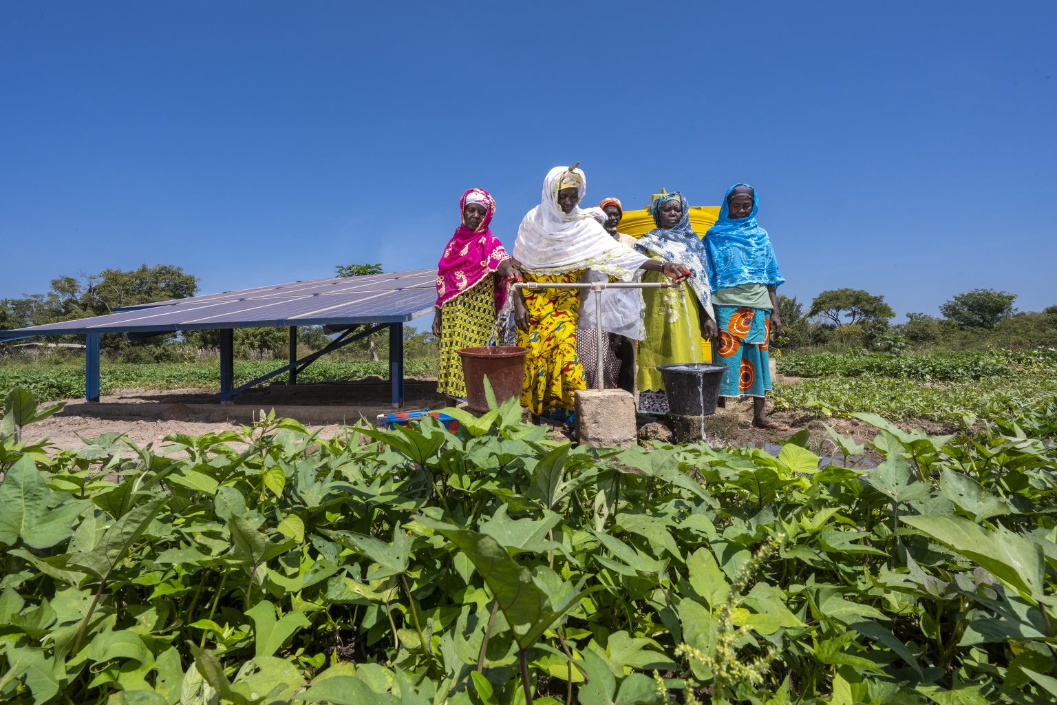 About Us - Resolute Mining